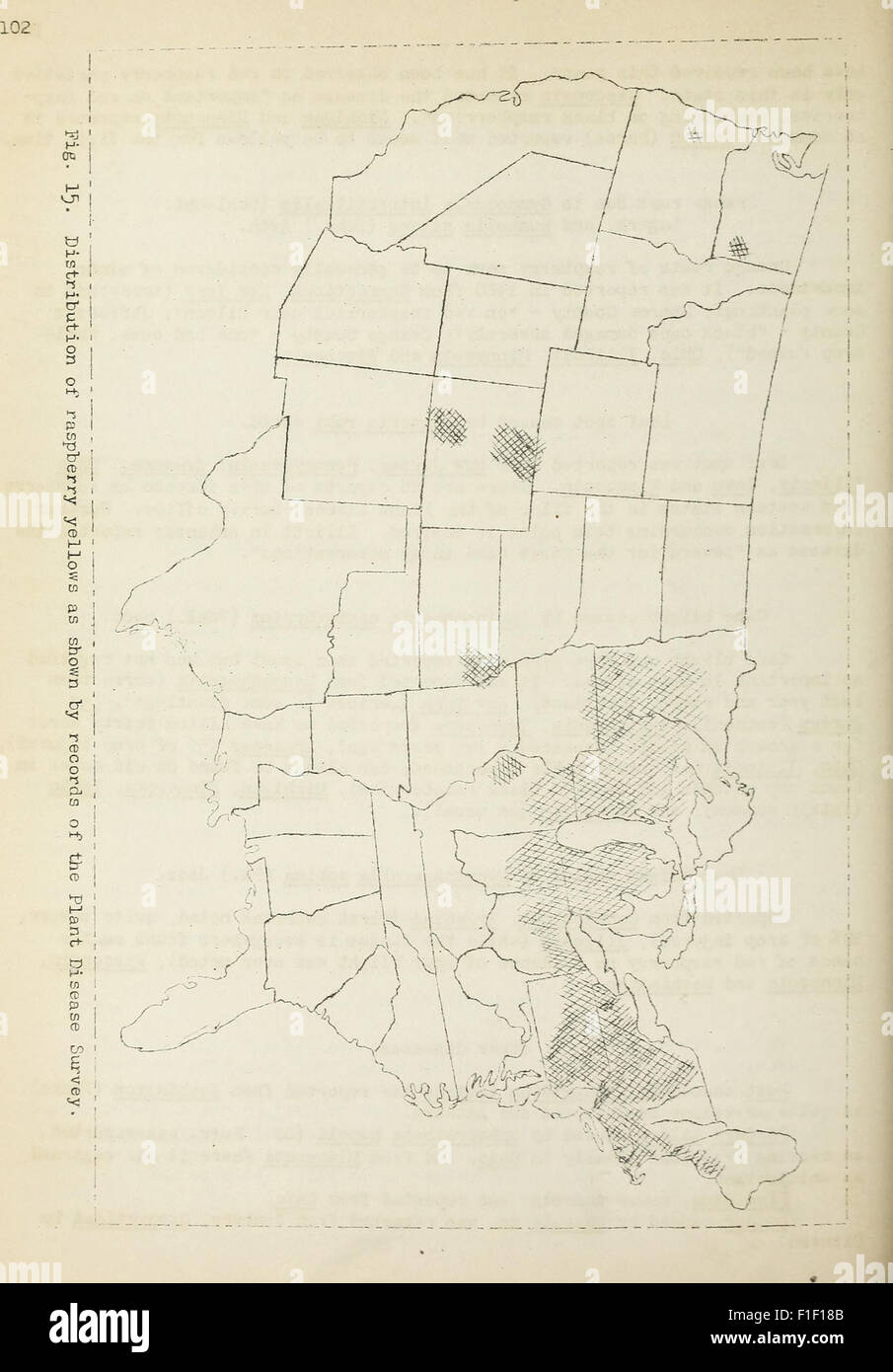 This 1921 publication discusses the diseases affecting fruit crops in ...