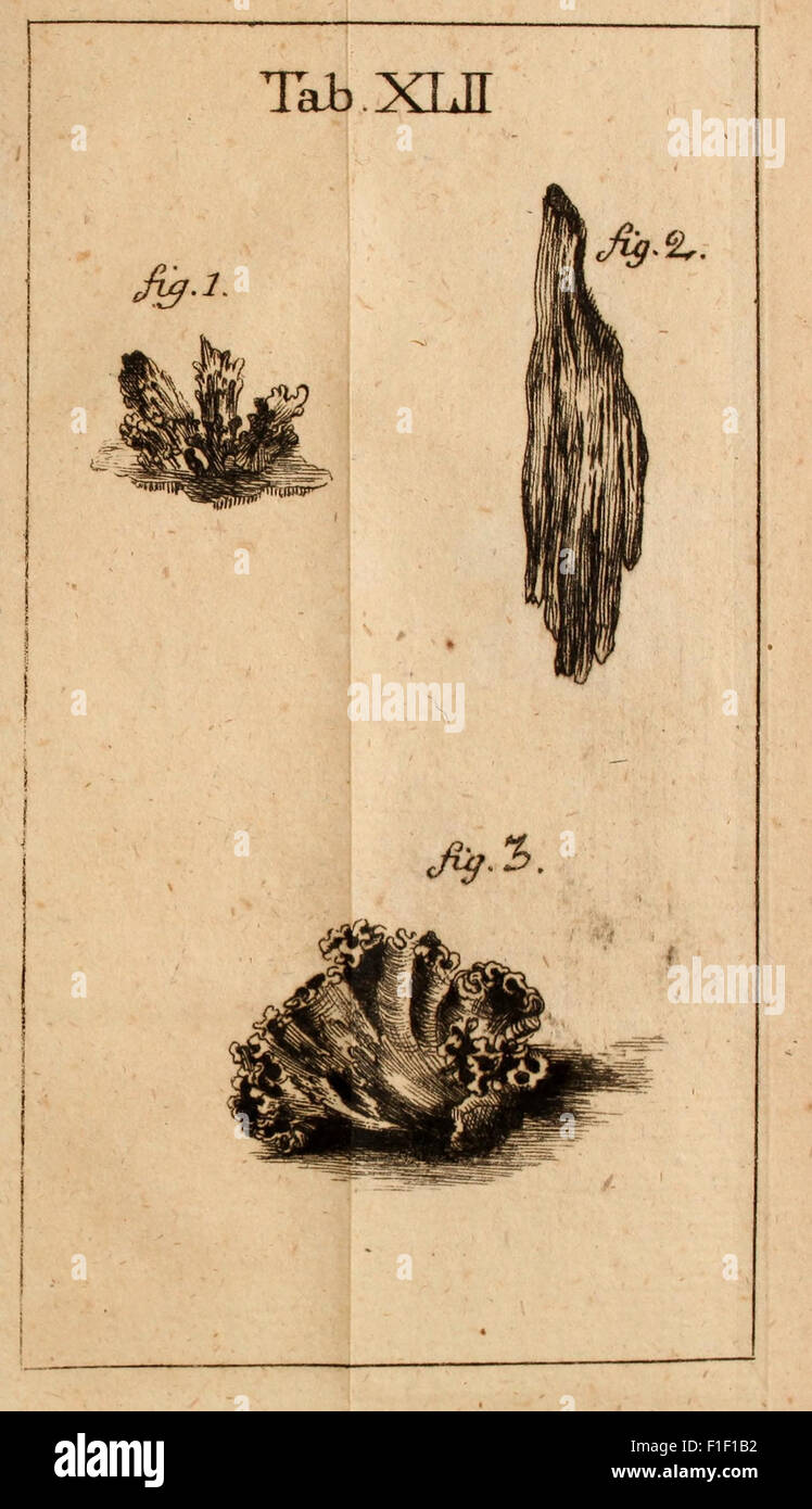 Dissertationes ad scientiam naturalem pertinentes Stock Photo - Alamy