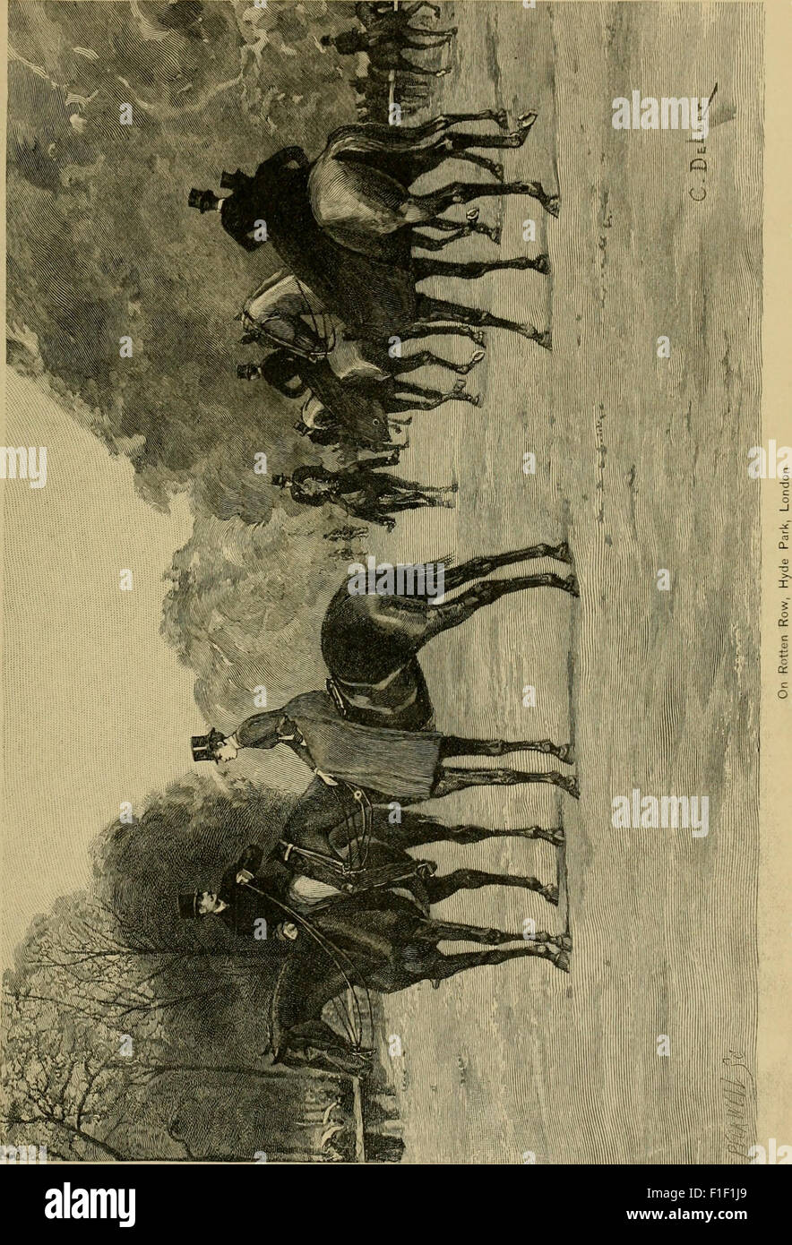 Domesticated animals, their relation to man and to his advancement in ...