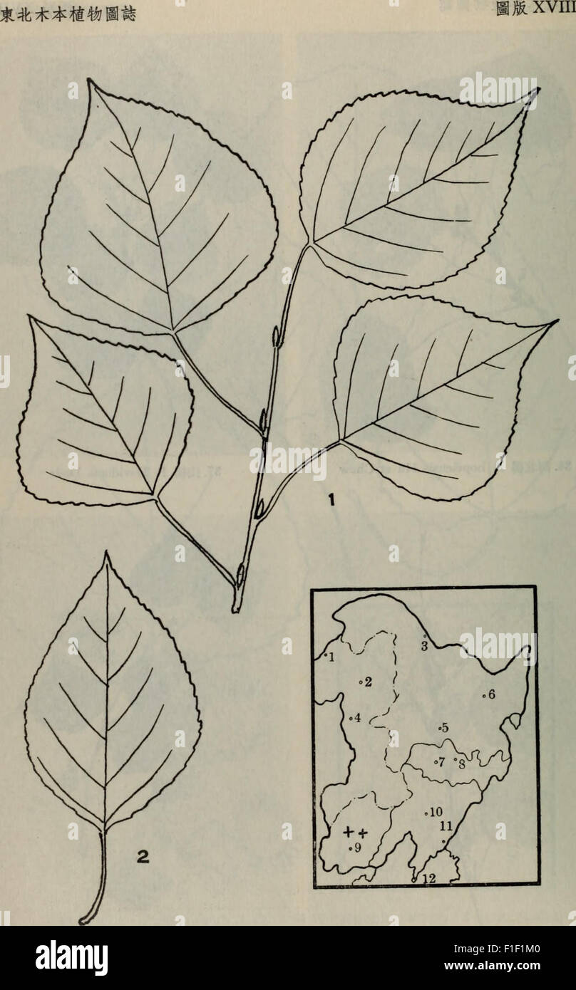 Dong bei mu ben zhi wu tu zhi (1955 Stock Photo - Alamy