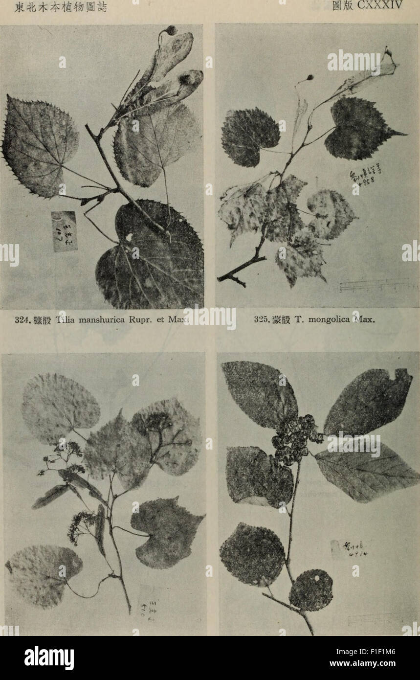 *Dong bei mu ben zhi wu tu zhi* (1955), translated as *Illustrated ...