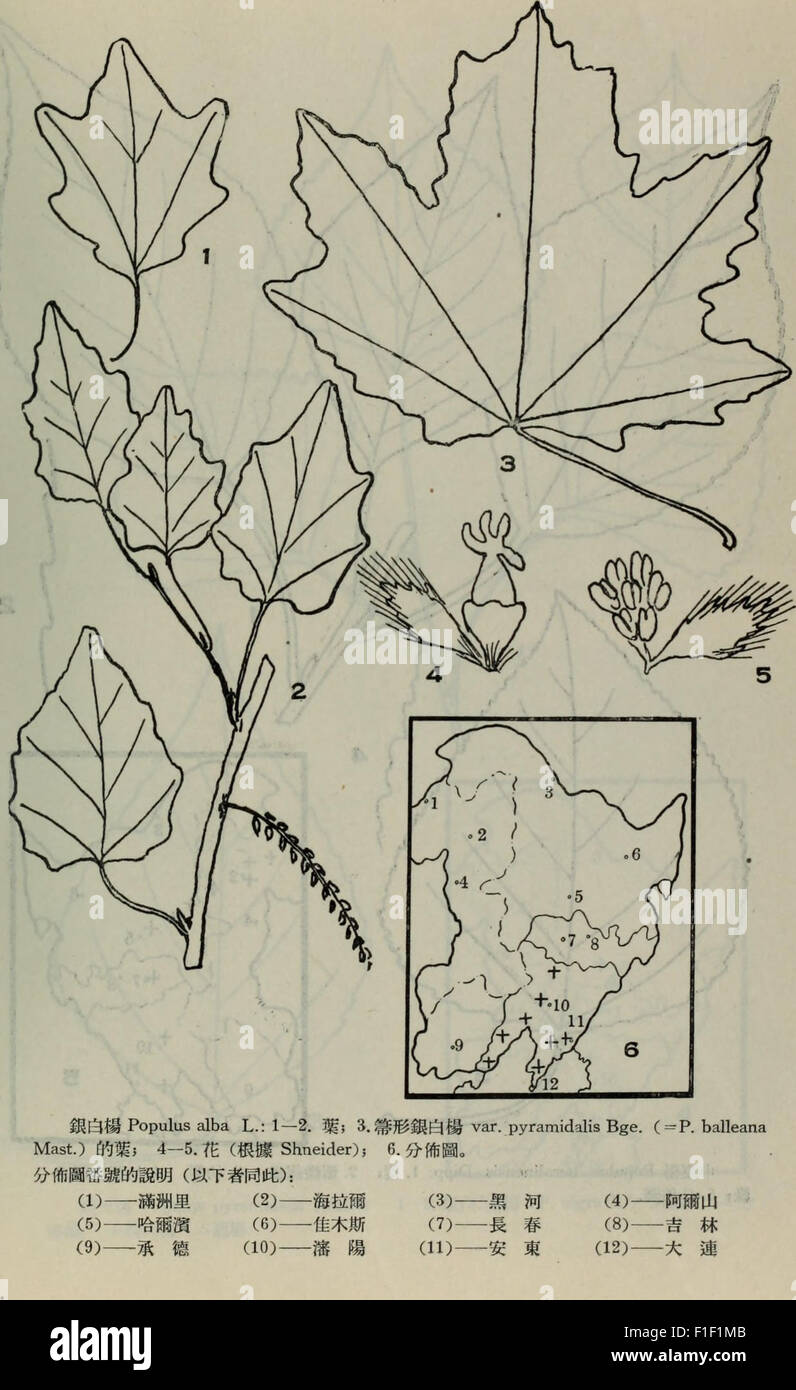 Dong bei mu ben zhi wu tu zhi (1955 Stock Photo - Alamy