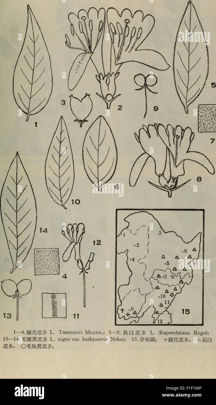 Dong bei mu ben zhi wu tu zhi (1955 Stock Photo - Alamy