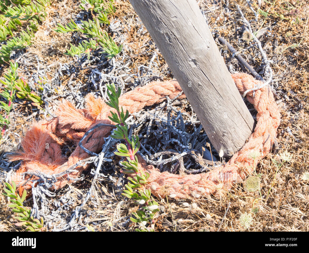 Broken rope with pole. concept of escape and run away Stock Photo - Alamy