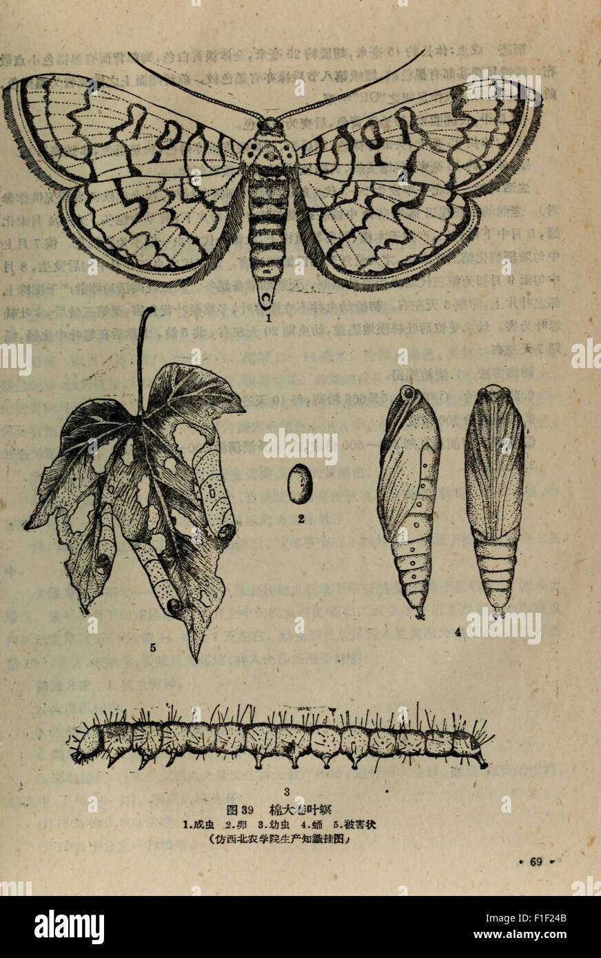 'Dong bei nong zuo wu hai chong tu shuo' (October 1959) is a Chinese ...