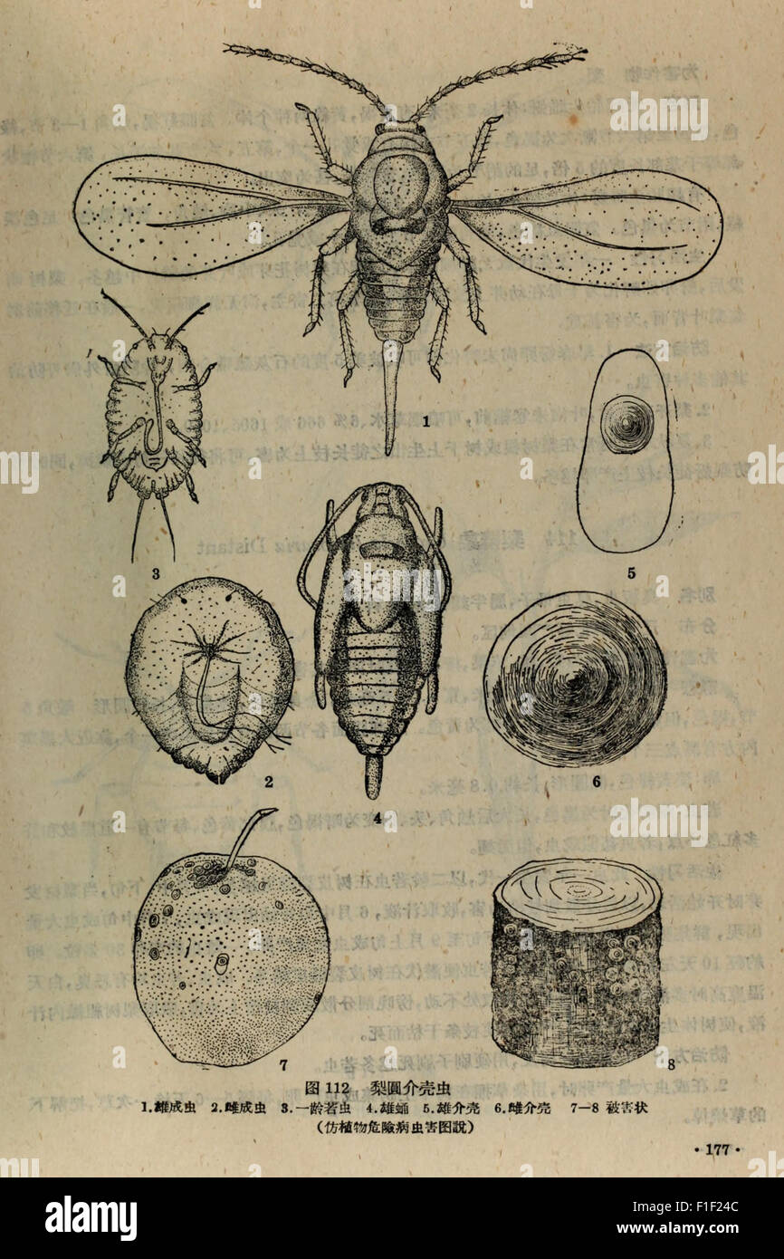 'Dong Bei Nong Zuo Wu Hai Chong Tu Shuo' (1959) is a Chinese ...