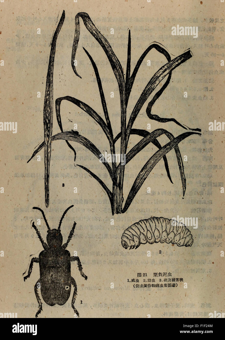 'Dong bei nong zuo wu hai chong tu shuo' (1959) provides an ...