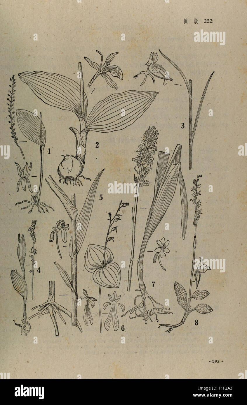This Chinese botanical work from 1959 catalogues the flora of Northeast ...