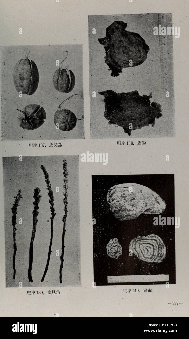 *Dong bei zhi wu yao tu zhi* (1959) is a Chinese botanical work ...