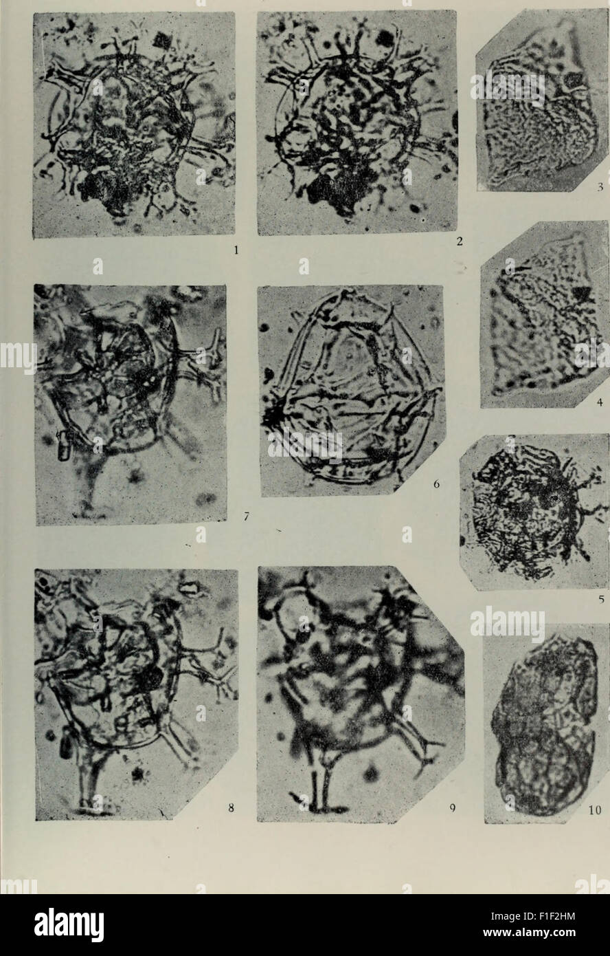 This 1985 publication discusses research on marine organisms and the ...