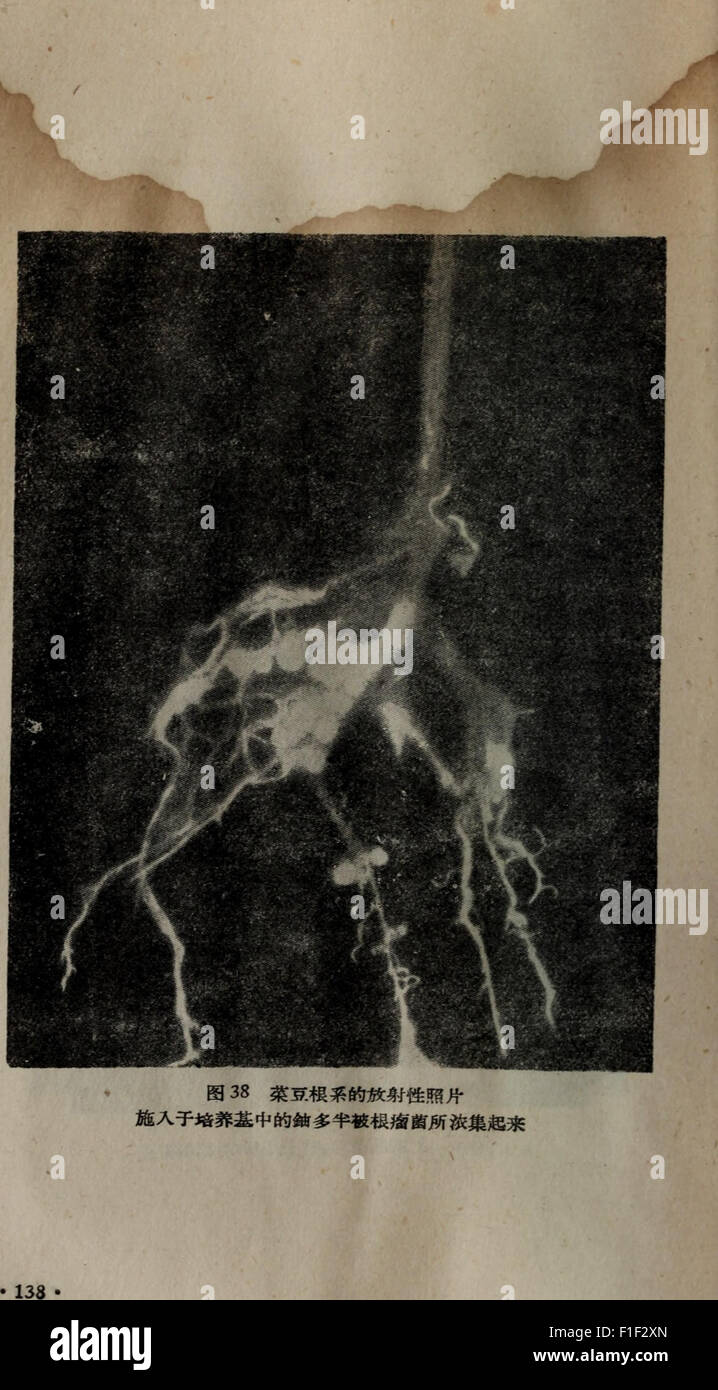 Dong zhi wu sheng huo zhong de wei liang yuan su he tian ran fang she ...