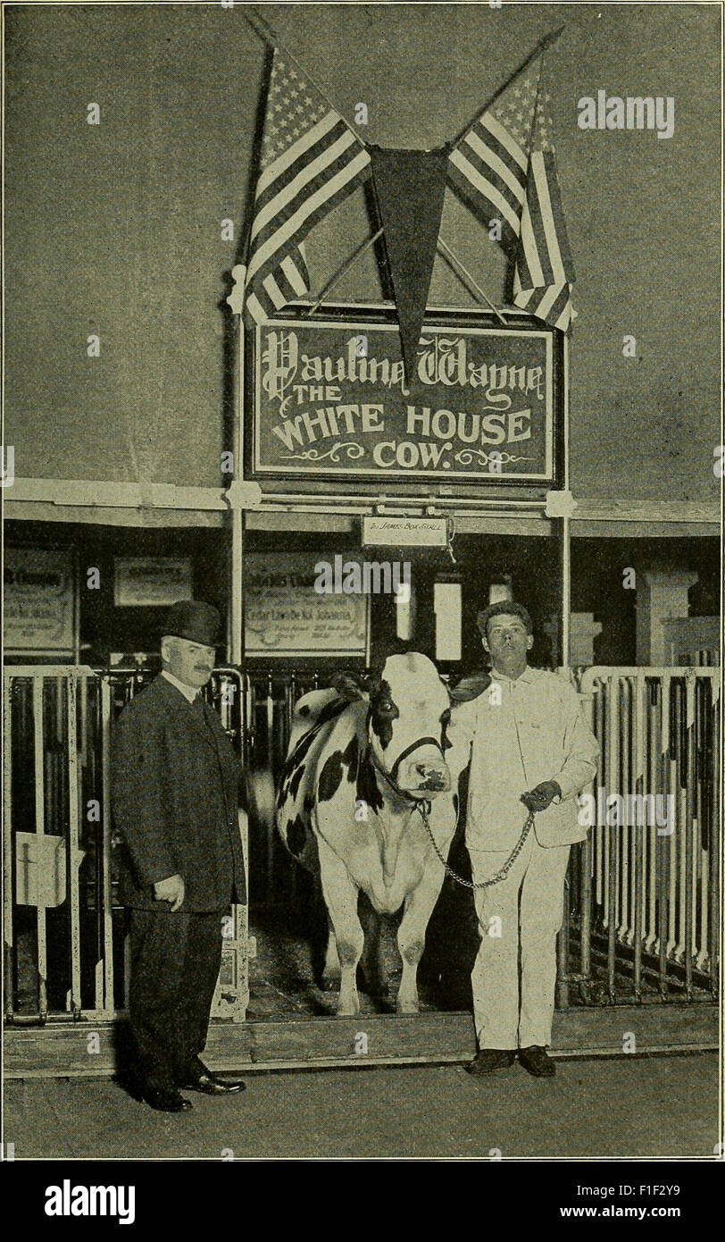 Dr david roberts hi-res stock photography and images - Alamy