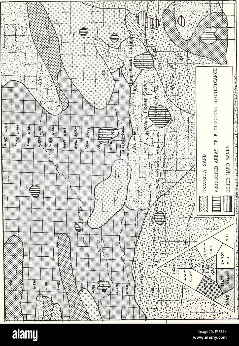 Draft environmental impact statement prepared on the proposed East and ...