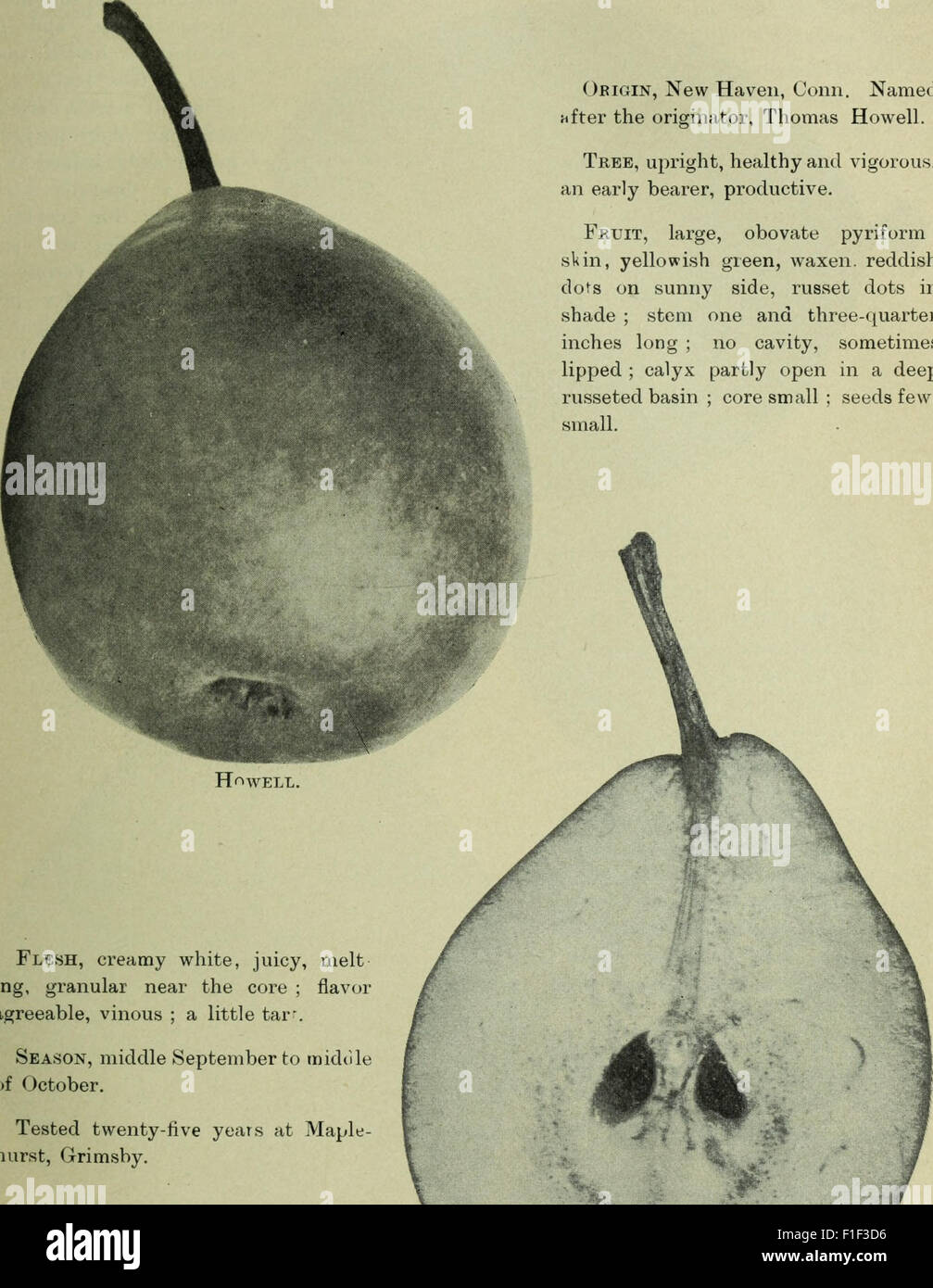 This 1899 report highlights the progress and challenges faced by fruit ...