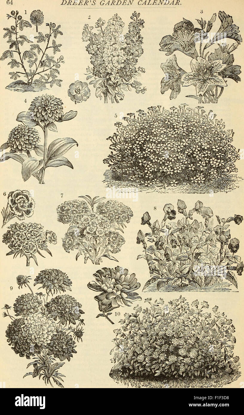 The *Dreer's Garden Calendar* from 1884 provides gardeners with ...