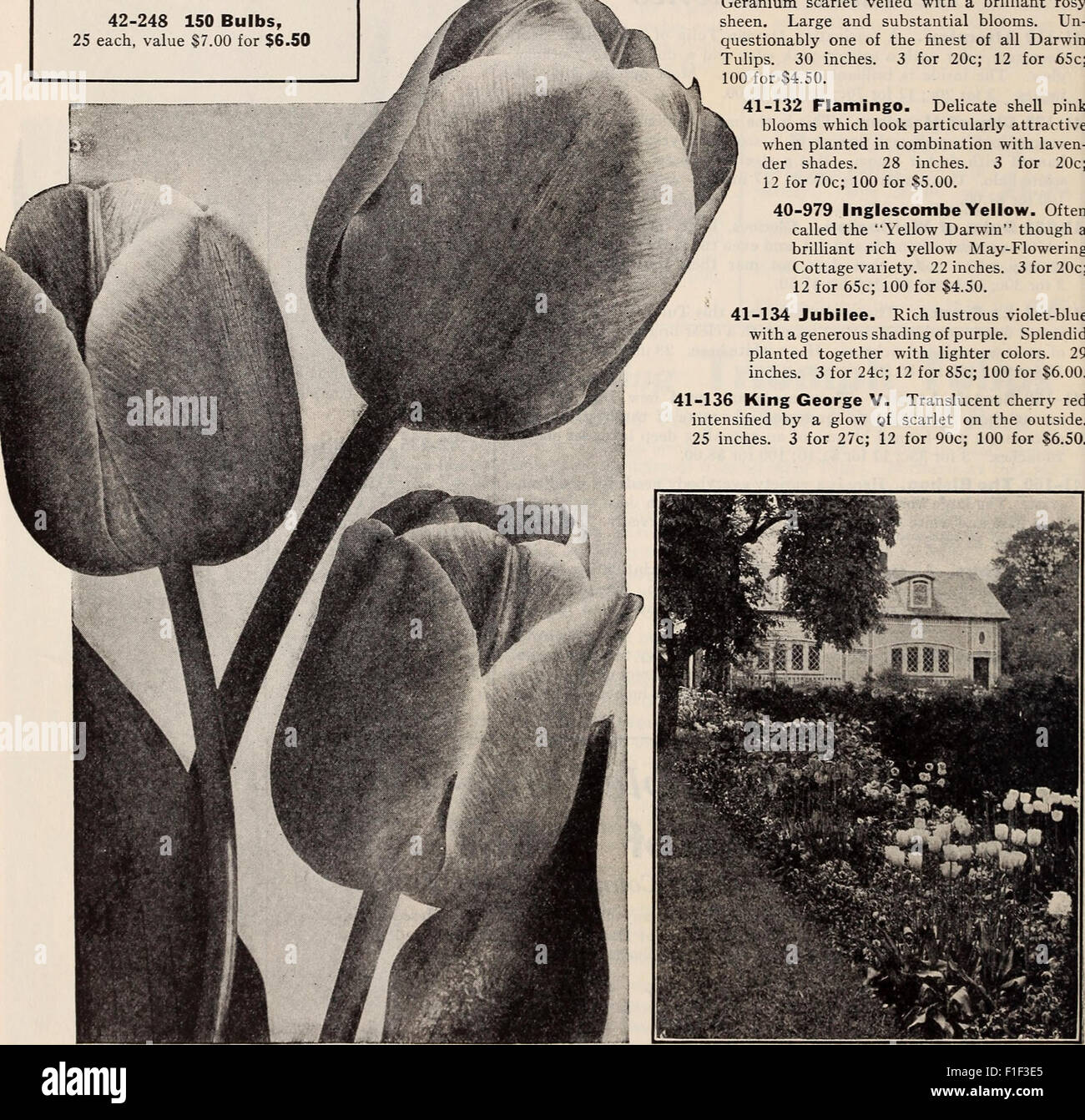 Dreer Quality Seeds and Bulbs catalog from 1939 showcases various plant ...