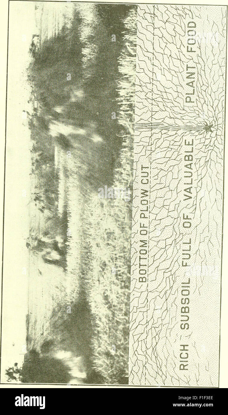 The *Du Pont Farmer's Handbook* (1911) provides instructions for the ...