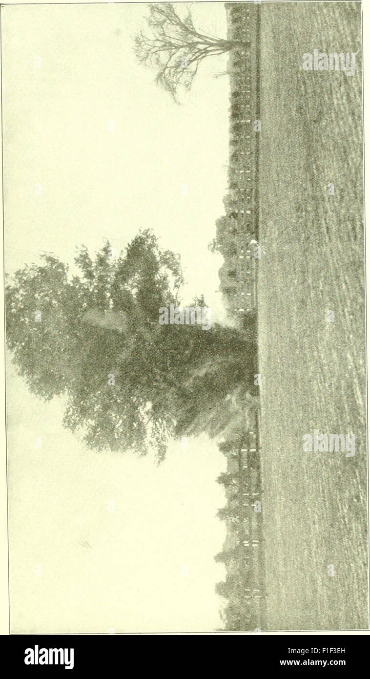 The Du Pont Farmer's Handbook (1911) provides instructions on using ...