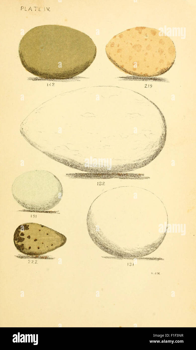 *Eggs of North American Birds* is a comprehensive collection focusing ...