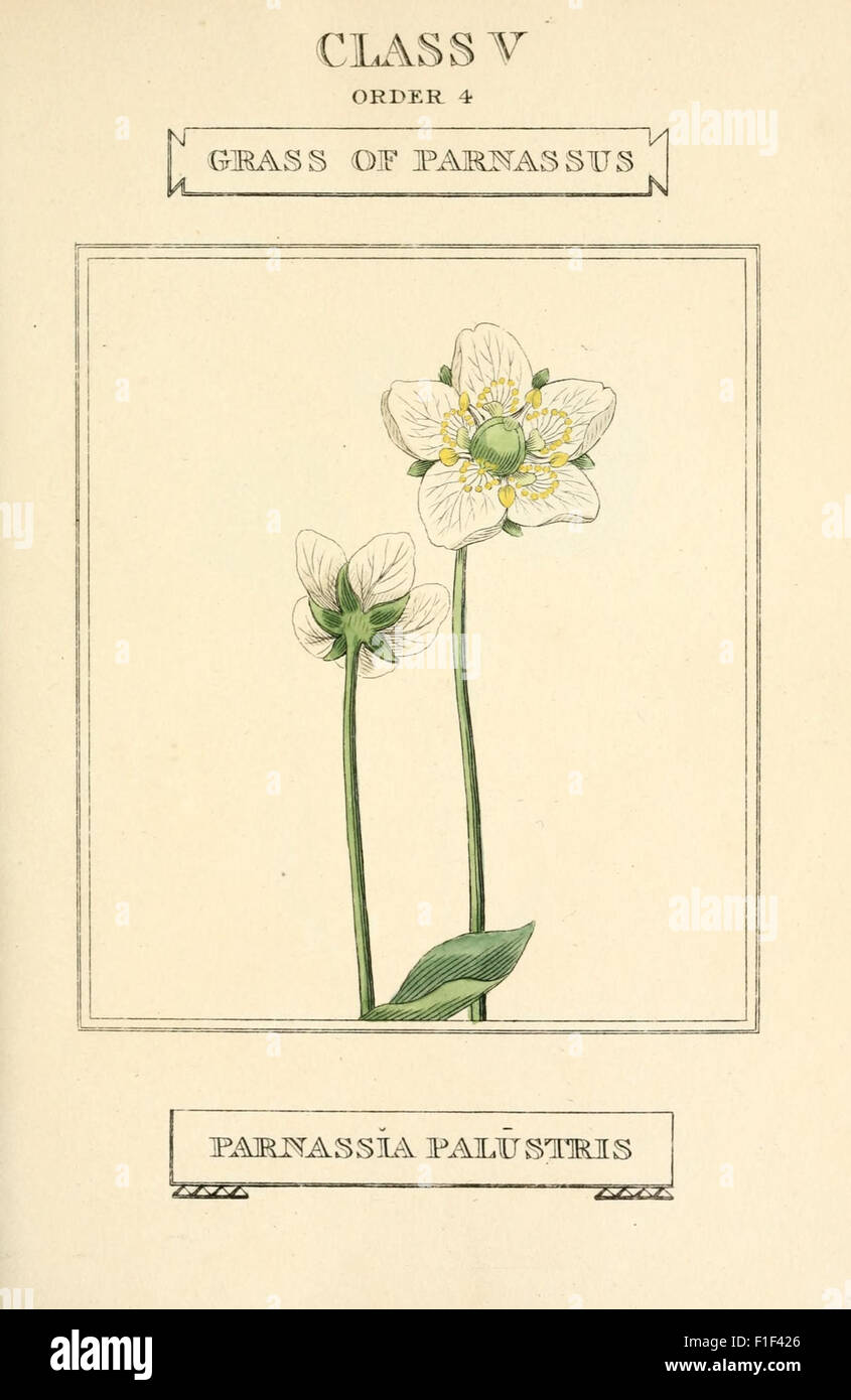'Elements of the Science of Botany' is a vintage botanical work housed ...
