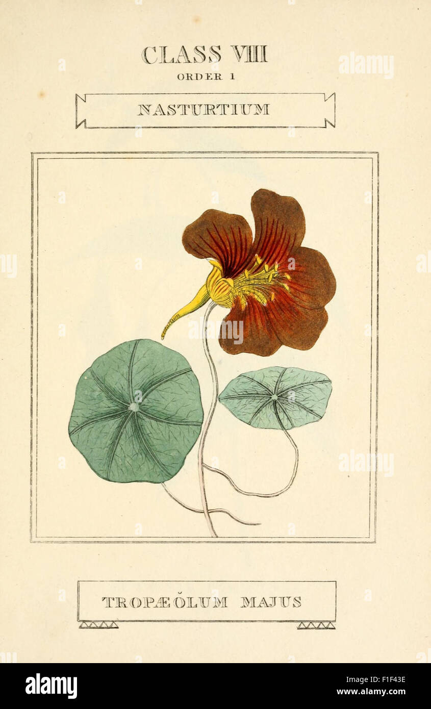 Elements of the science of botany Stock Photo - Alamy