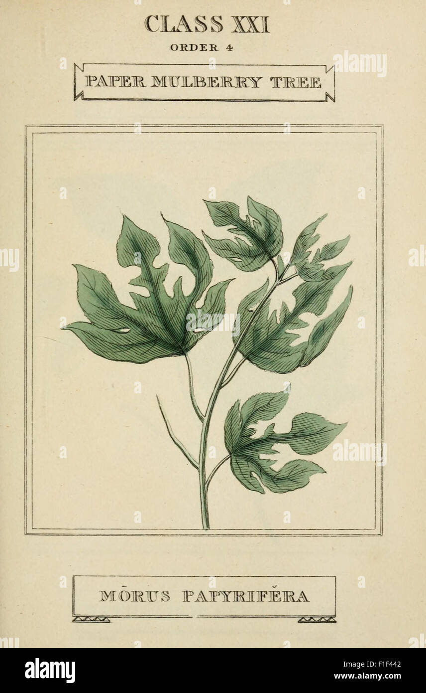 'Elements of the Science of Botany' is a botanical textbook that ...