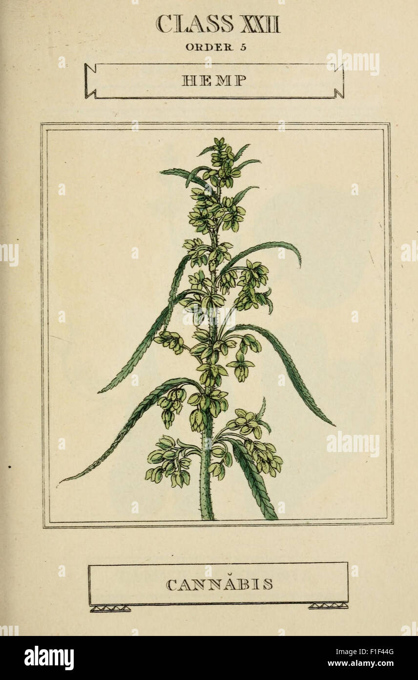 Elements Of The Science Of Botany Is A Foundational Botanical Text Providing An Introduction