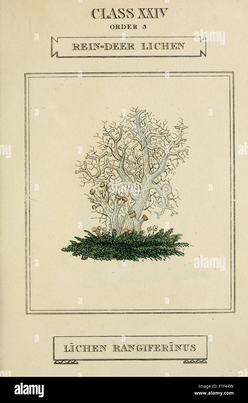 'Elements of the Science of Botany' serves as an educational text on ...