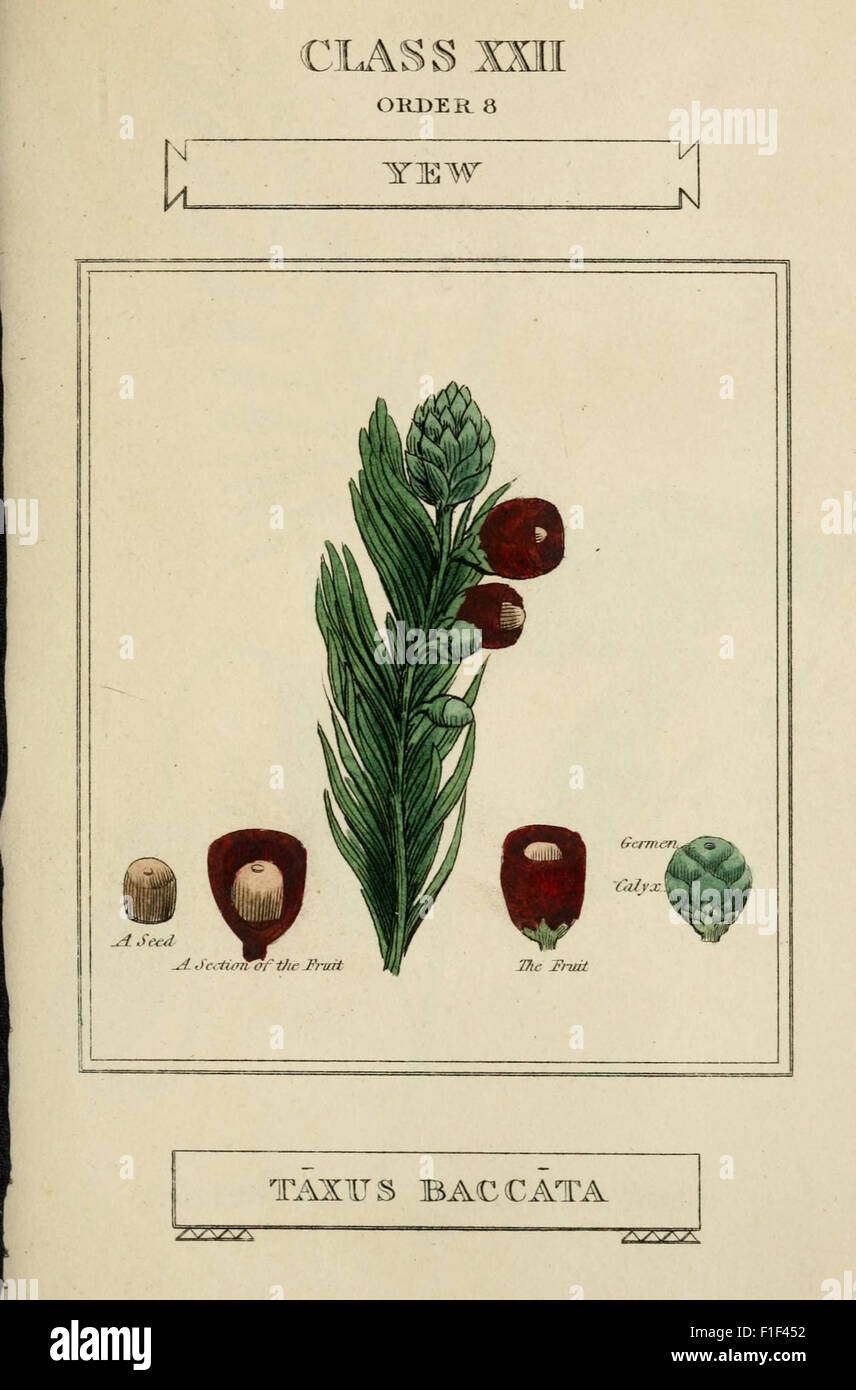 'Elements of the Science of Botany' is a textbook on the fundamental ...