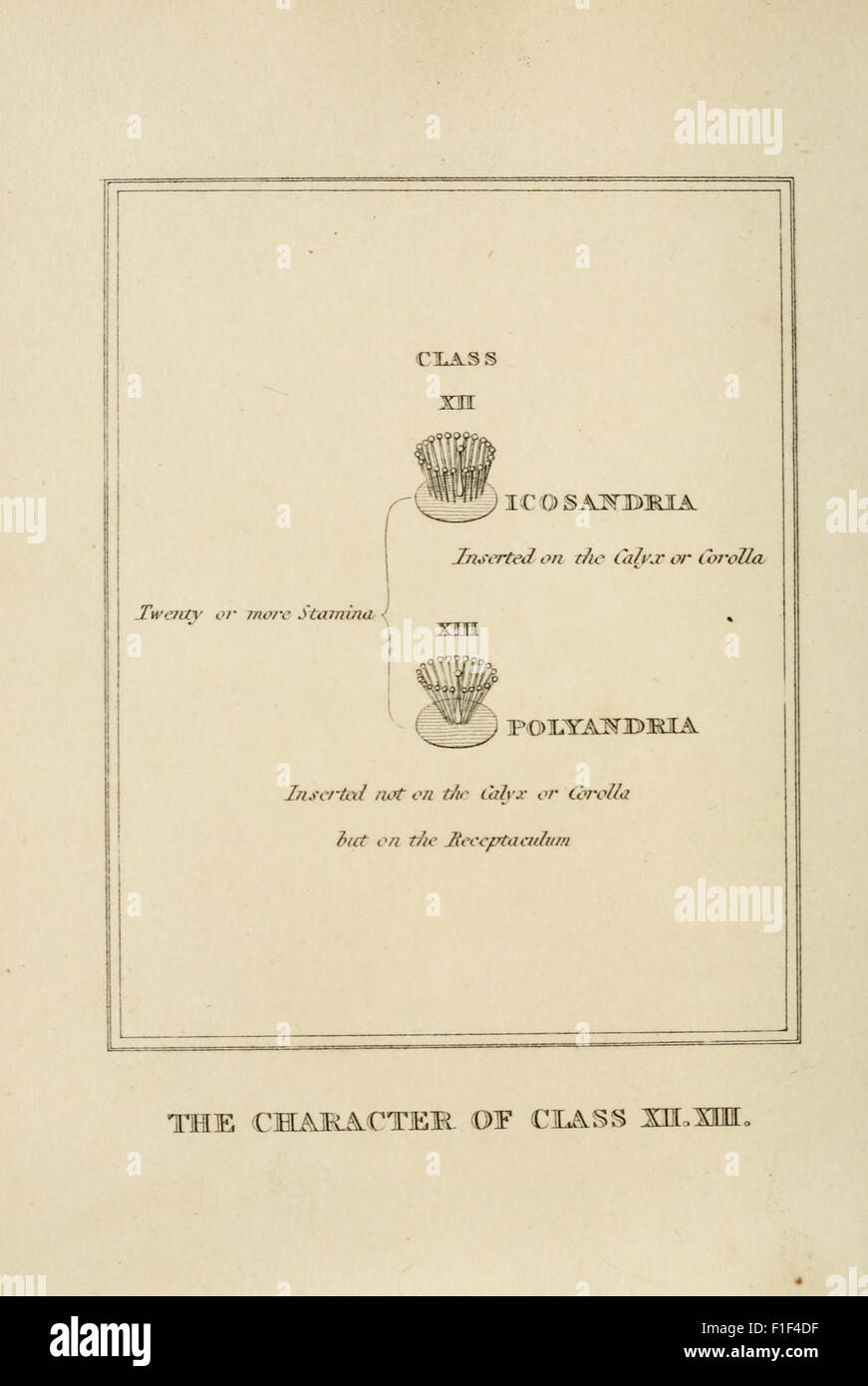 Elements Of The Science Of Botany Is A Foundational Work On Plant Classification Covering The