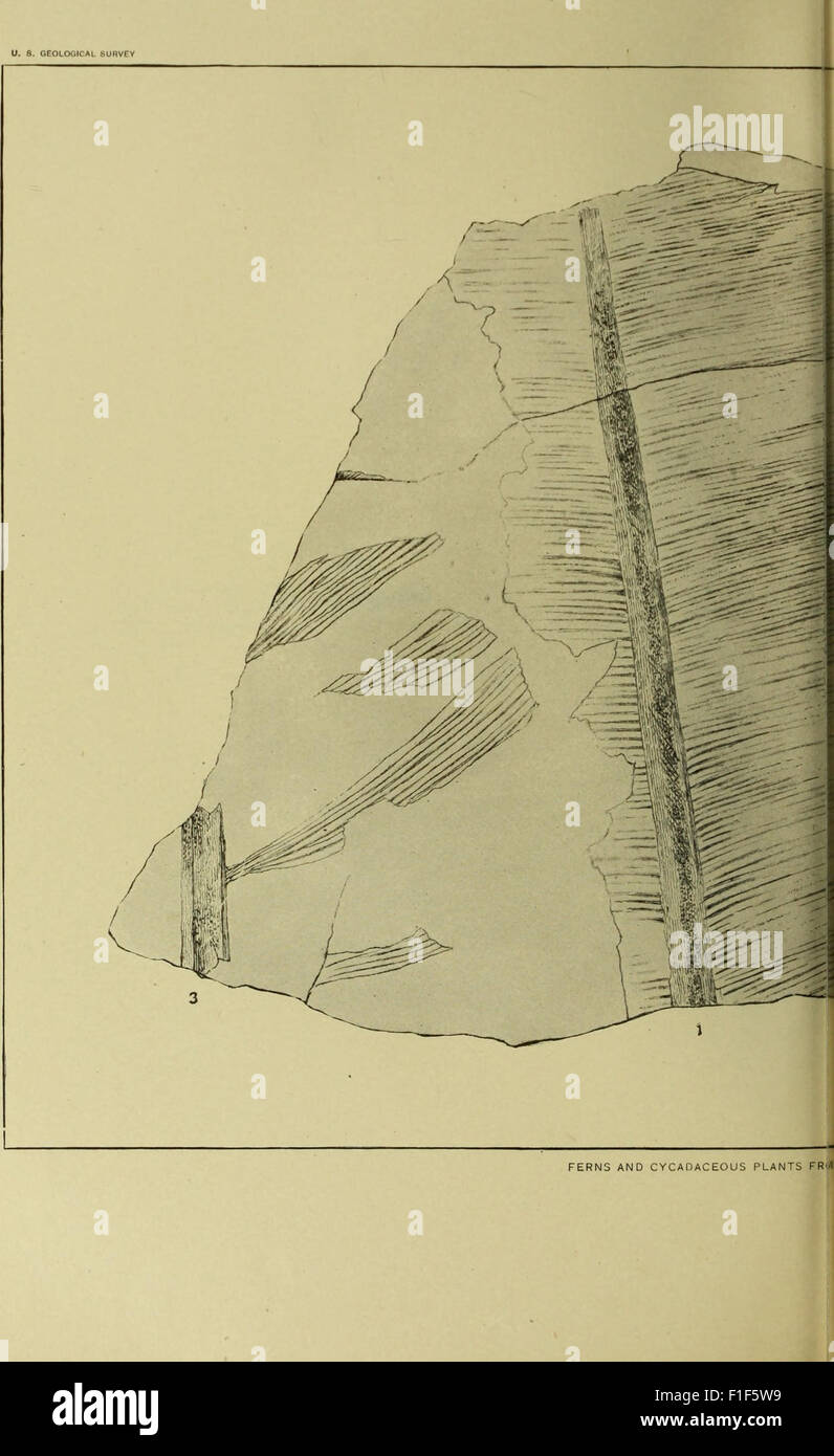 This 1898 report presents findings from the United States Geological ...