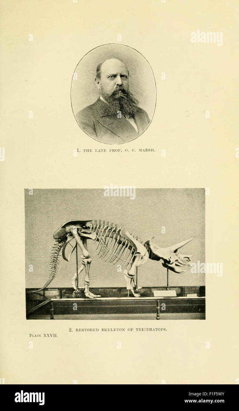 Extinct Monsters and Creatures of Other Days is a vintage publication ...