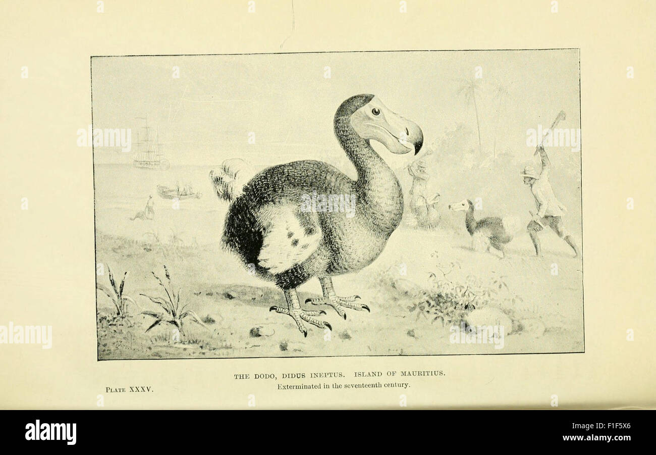 This work features depictions and descriptions of extinct animals ...