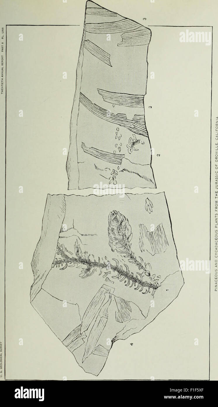 The *Annual Report of the United States Geological Survey* (1898 ...