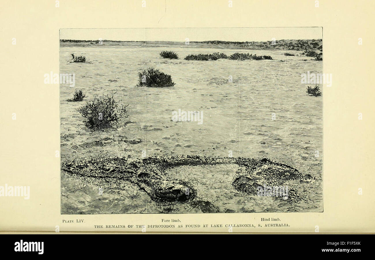 This illustrated volume explores extinct animals, including prehistoric ...