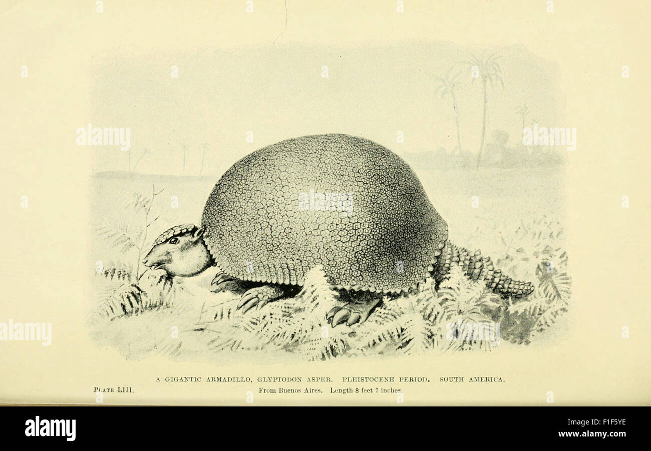 This work explores extinct animals from prehistoric times, focusing on ...