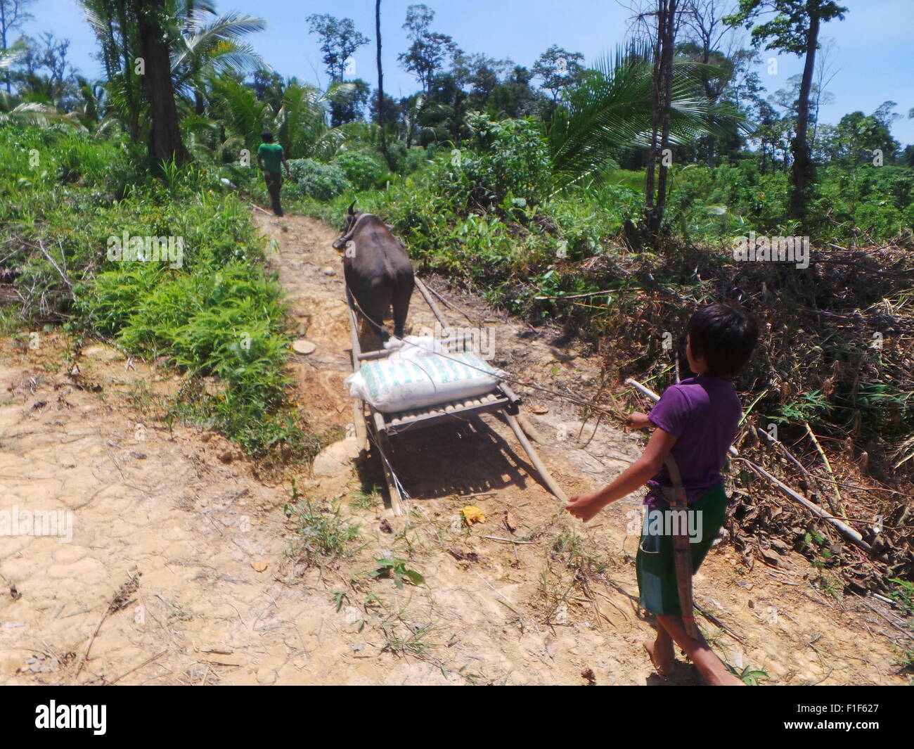 Palawan tribe hi-res stock photography and images - Alamy