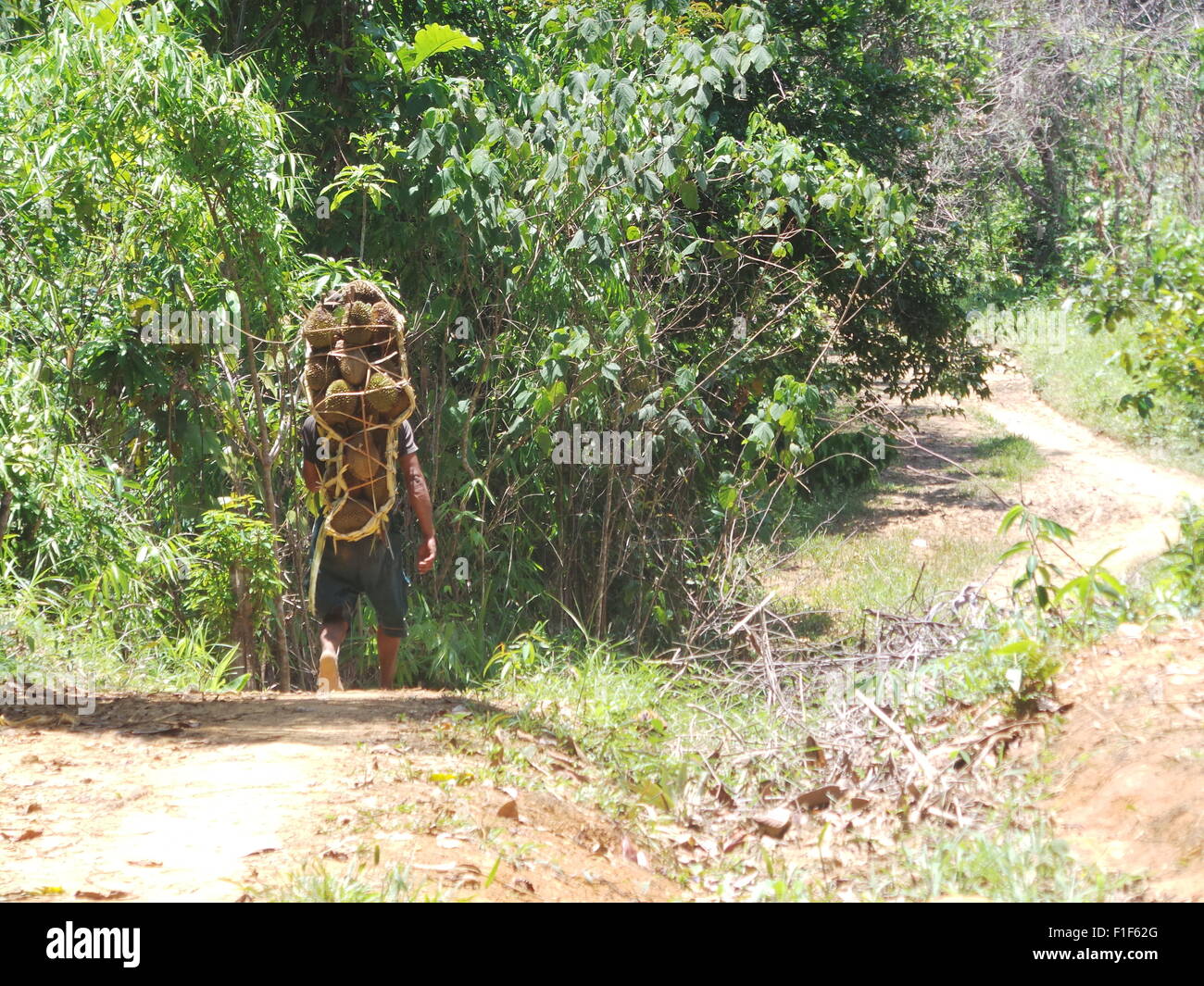 Palawan tribe hi-res stock photography and images - Alamy