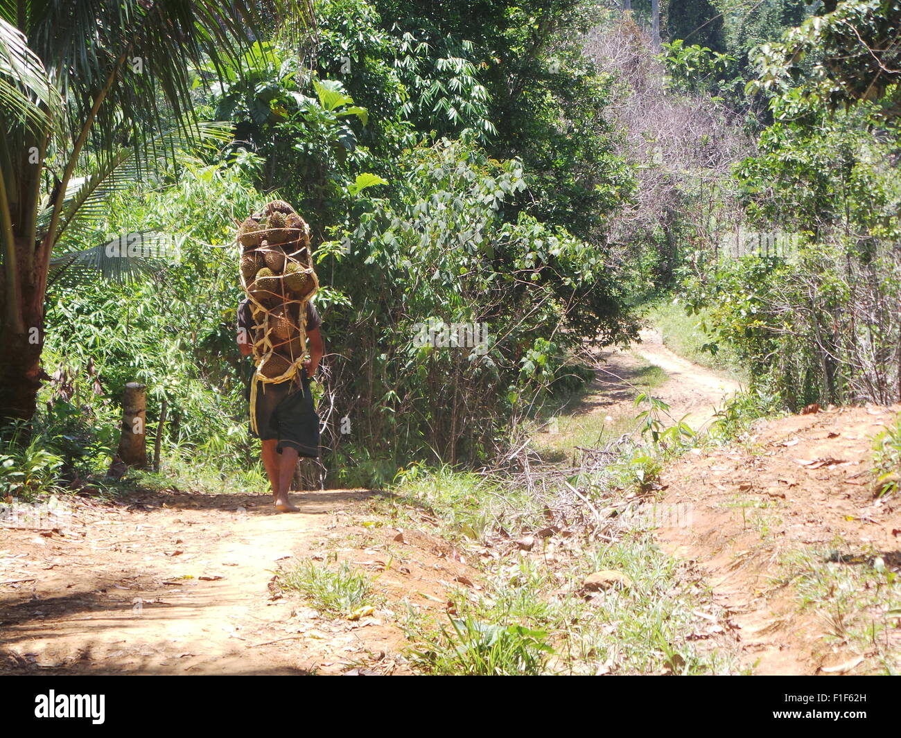 Philippines. 01st Sep, 2015. Tao't Bato tribe in Singnapan Valley ...
