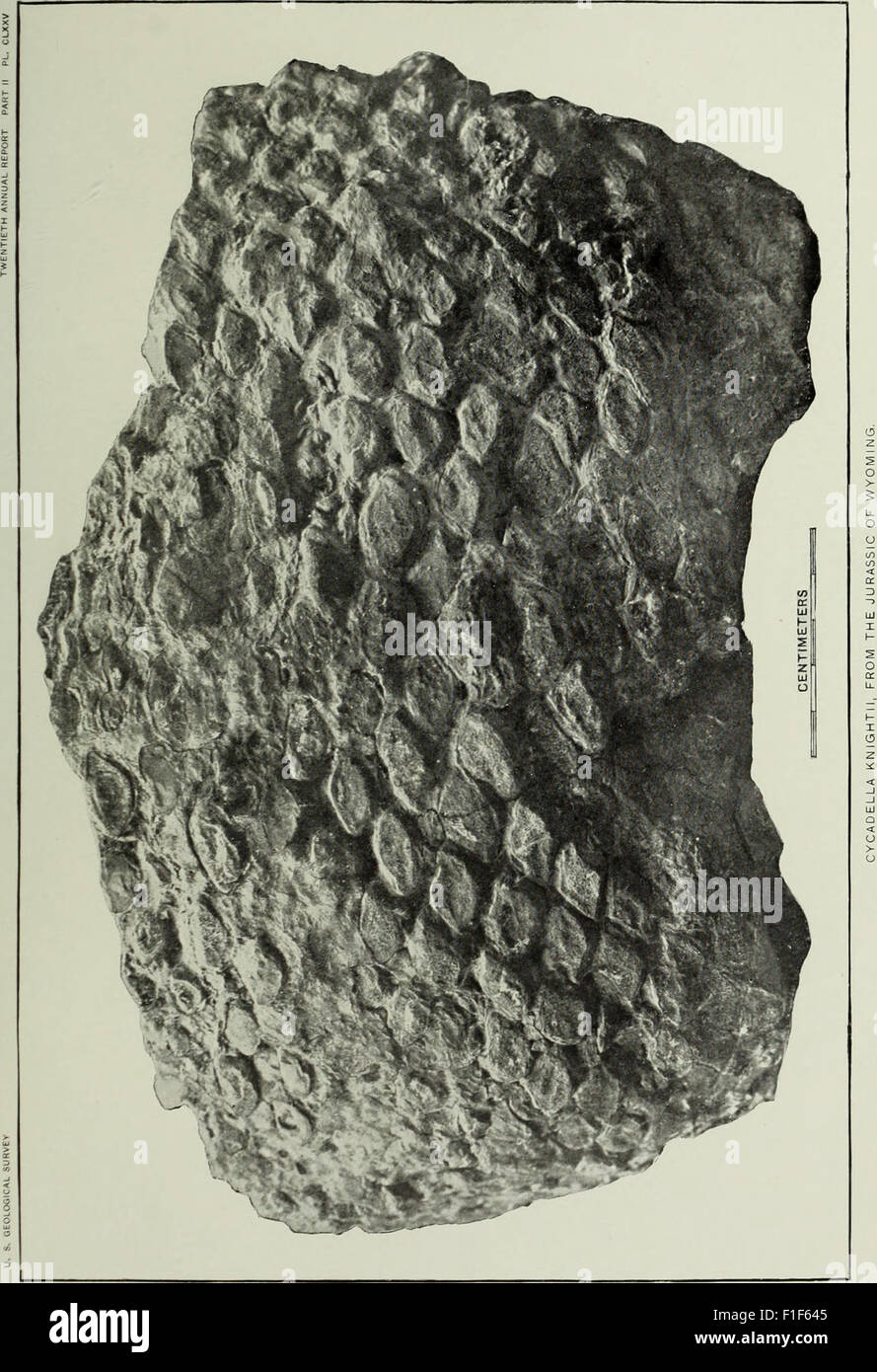 The 1898 Annual Report of the U.S. Geological Survey provides a ...