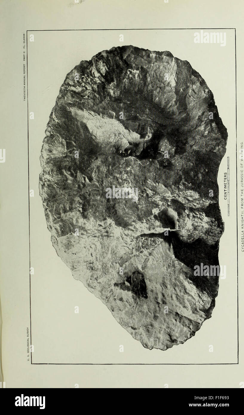 This report from the U.S. Geological Survey provides a detailed ...