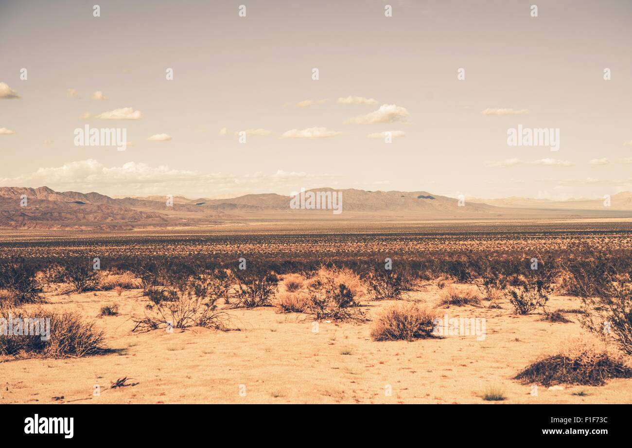 Southern California Desert. Sandy American Desert Landscape Stock Photo ...