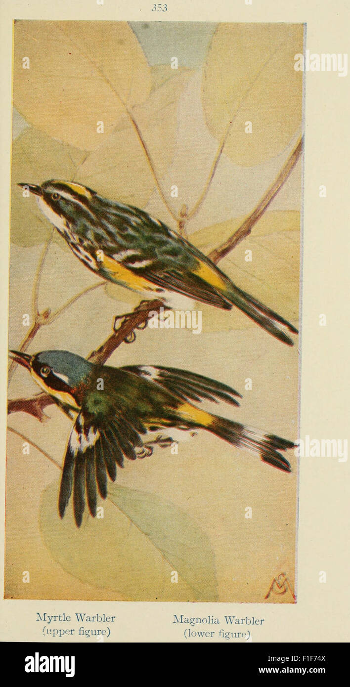 This field book catalogs wild birds and their songs, offering ...