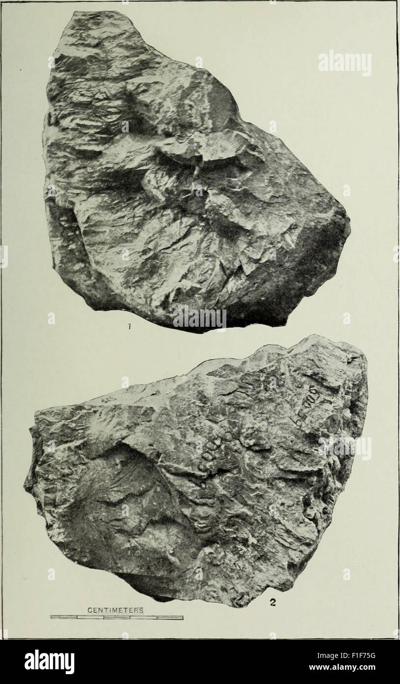 This 1898 annual report from the U.S. Geological Survey presents ...