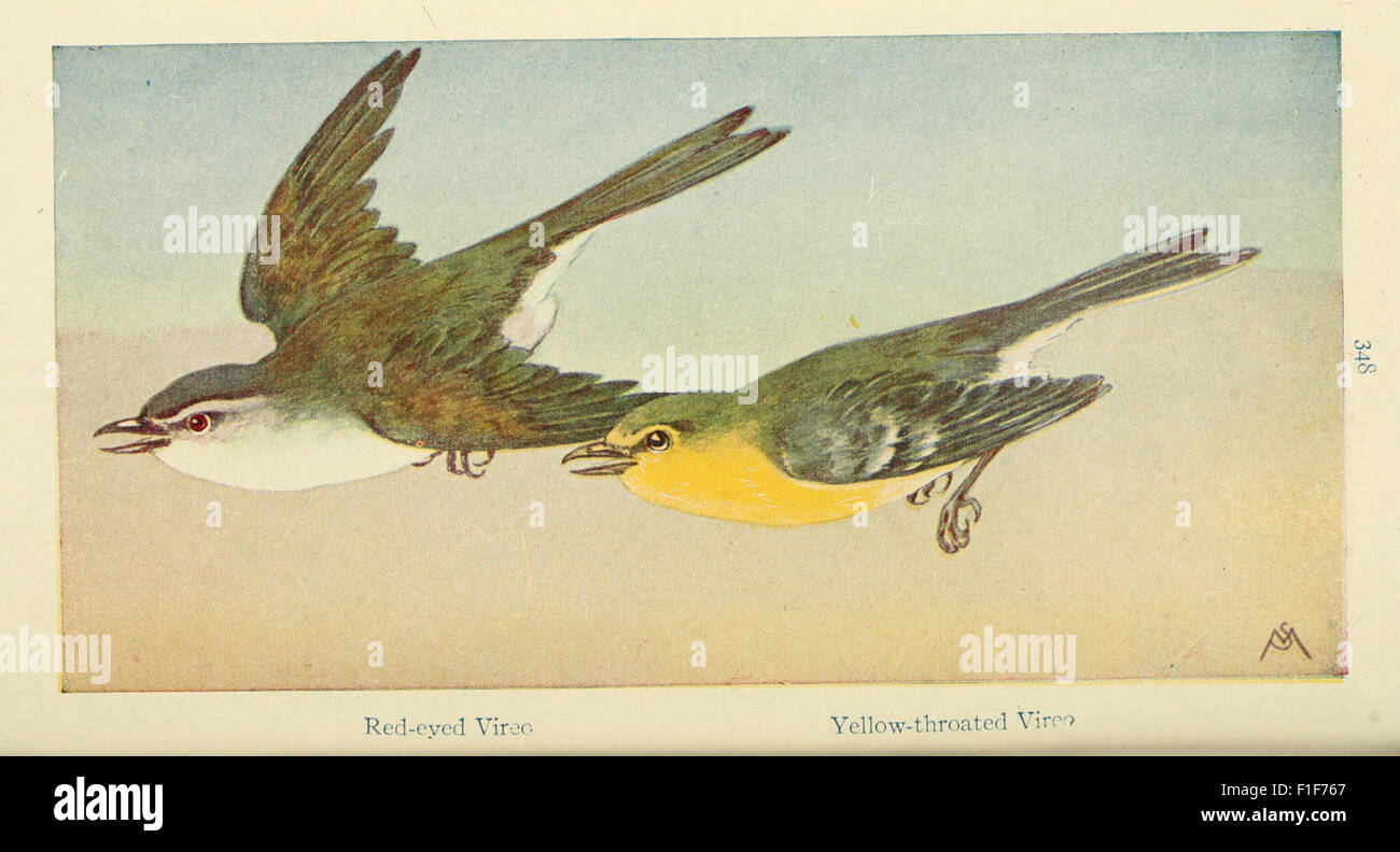 This field guide provides detailed accounts of wild birds in their ...