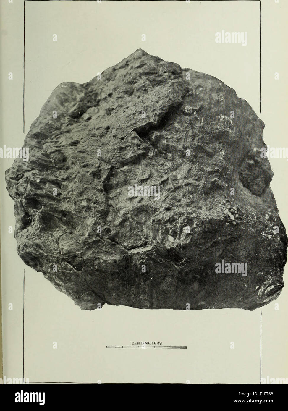 *Annual Report of the United States Geological Survey* (1898) provides ...