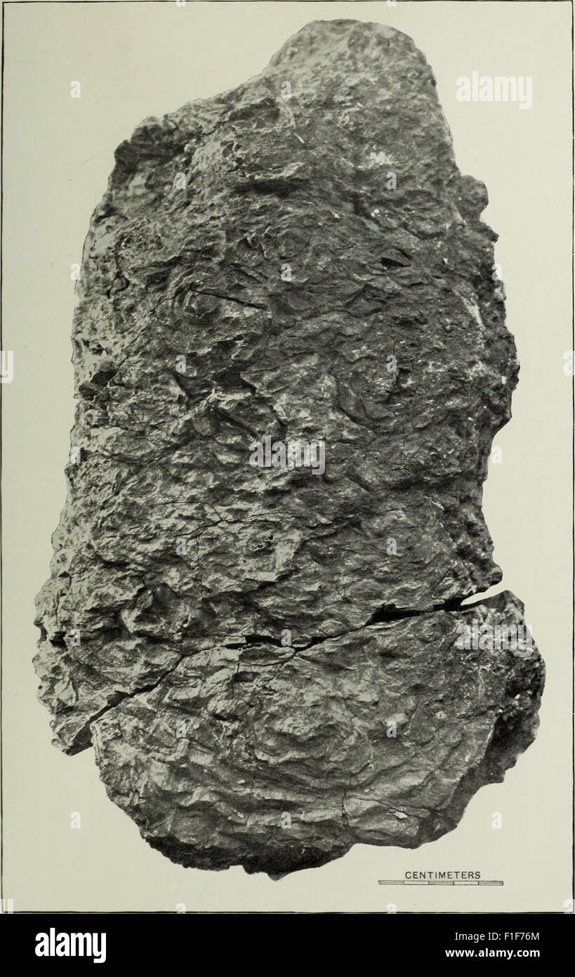 The 1898 Annual Report of the U.S. Geological Survey provides an ...