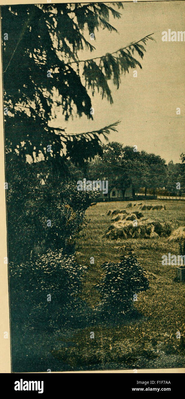 'Flemington, Where Town and Country Meet' (1910) offers a historical ...