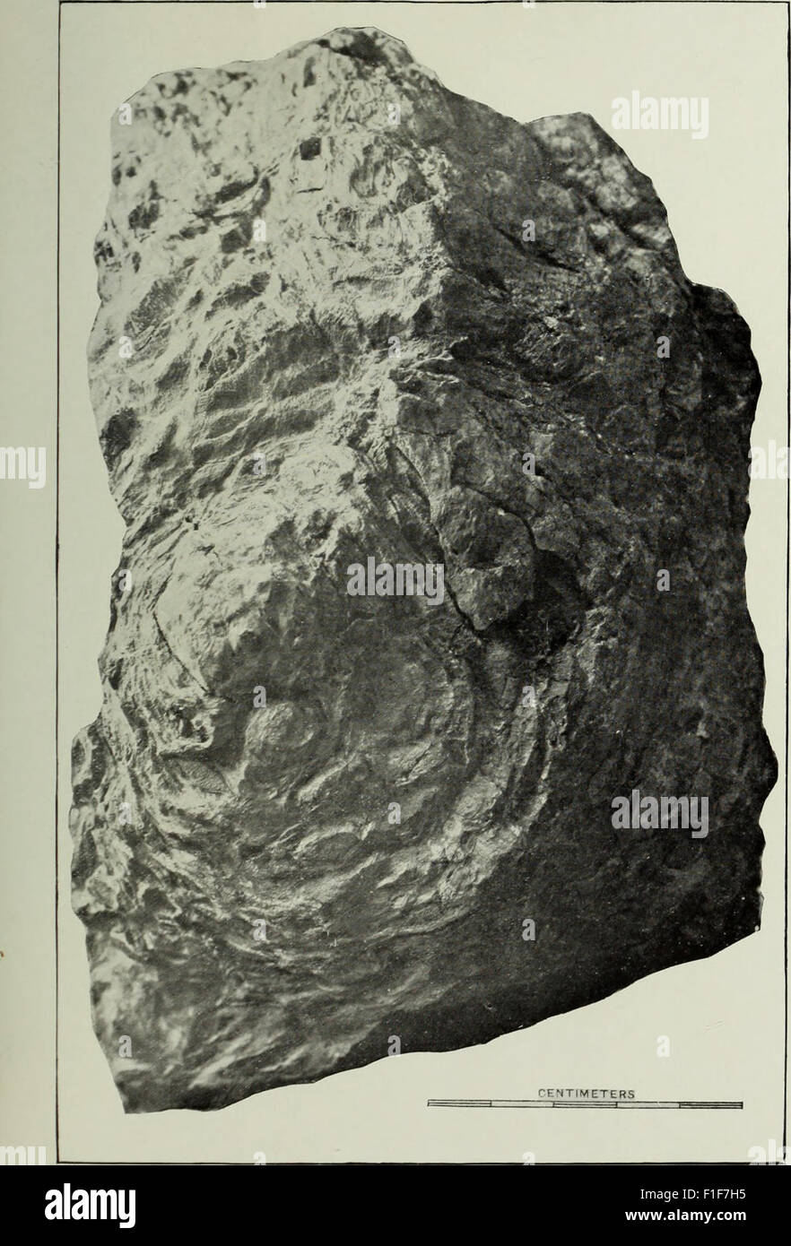 An official annual report from the U.S. Geological Survey, detailing ...