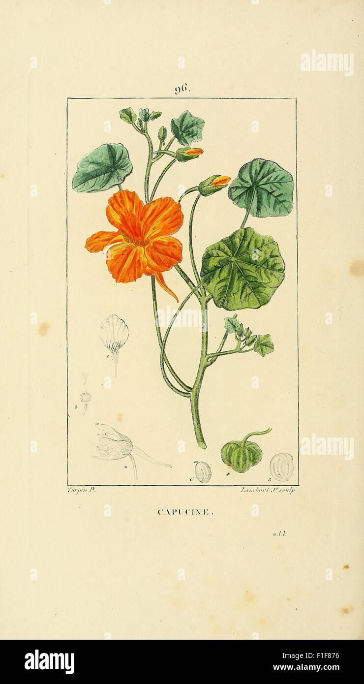 This 1833 botanical work features detailed illustrations of medicinal ...